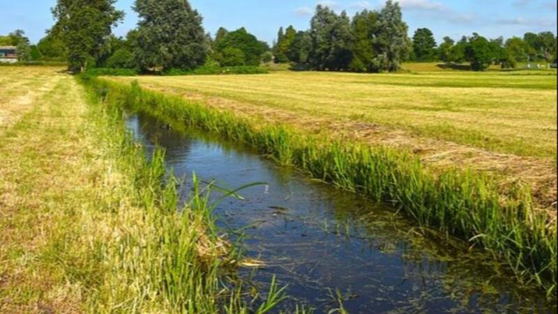 Prevenzione alluvioni, Rimini investe 70.000 euro. "Ma i privati ...